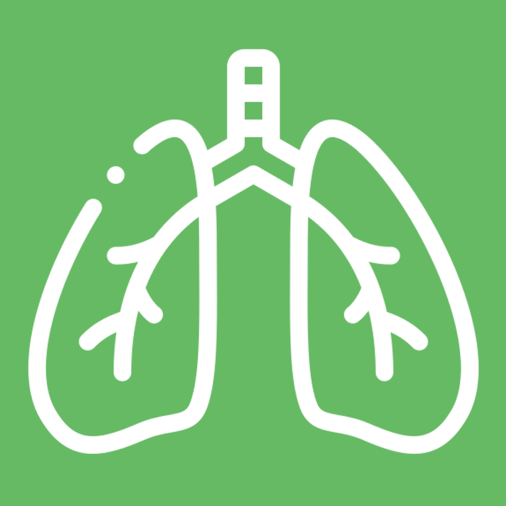 Pneumología – HSFA