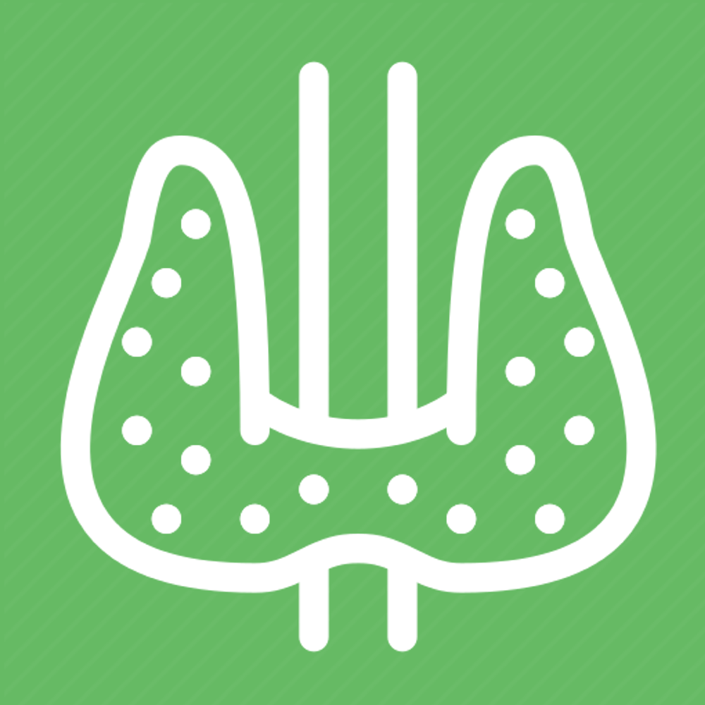 Endocrinología – HSFA