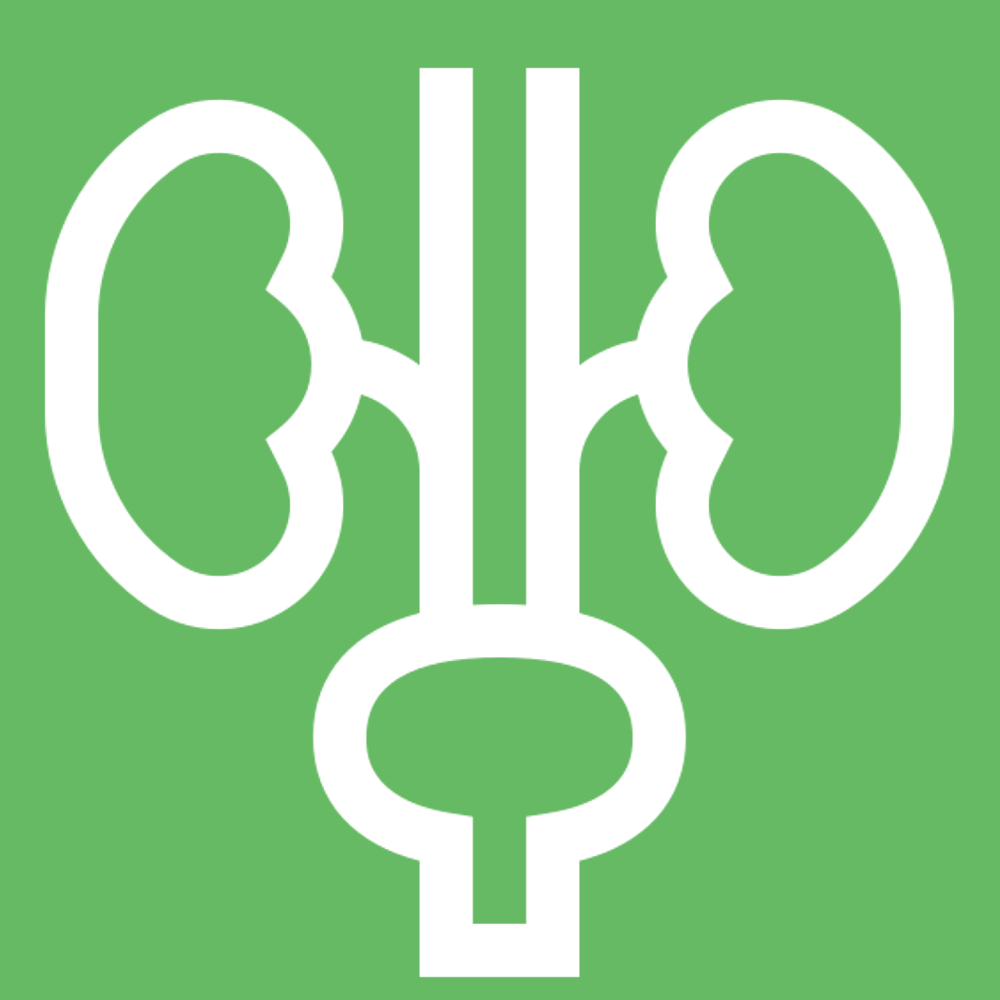 Urología – HSFA